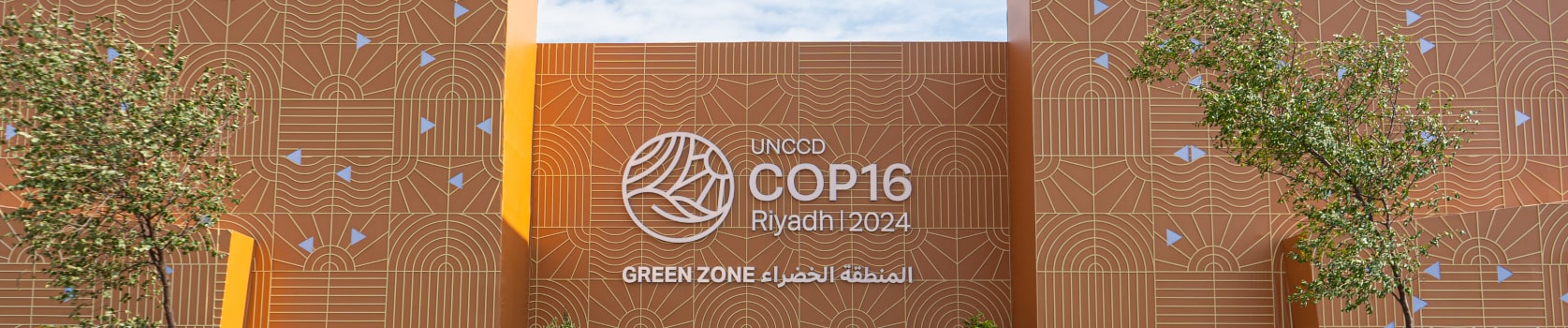 UNCCD COP 16: to bind or not to bind?